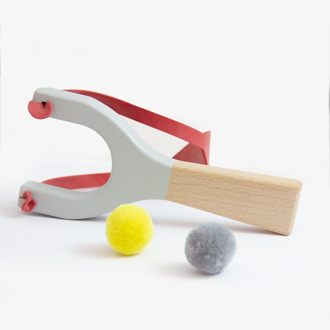 Hand Held Catapult