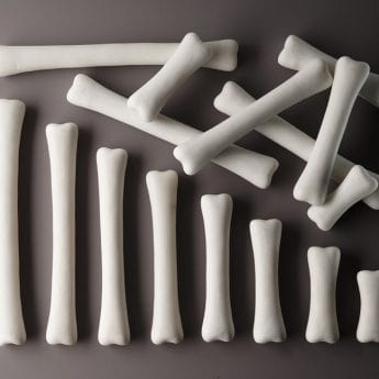 Yellow Door – Biddle and Bop